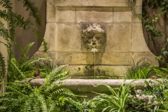 Traditional – Brian Thomas Jones Photography